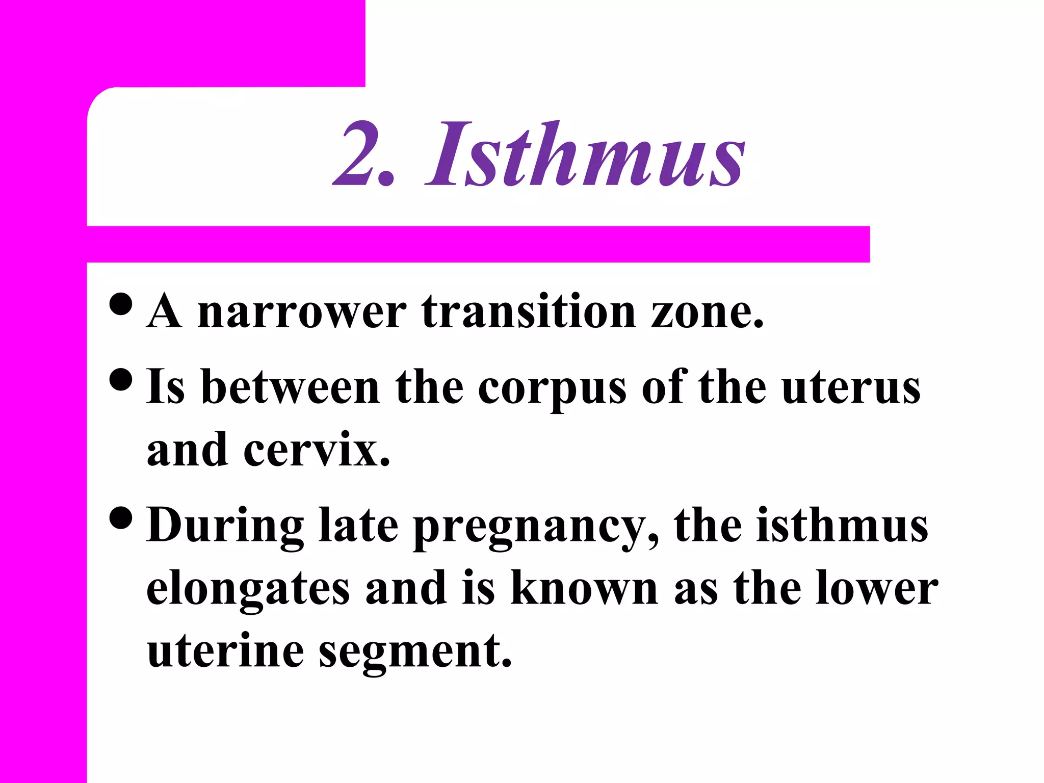 Anatomy physiology of female reproductive system | PPT