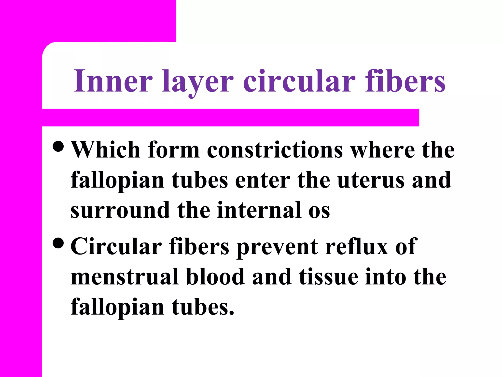 Anatomy physiology of female reproductive system | PPT