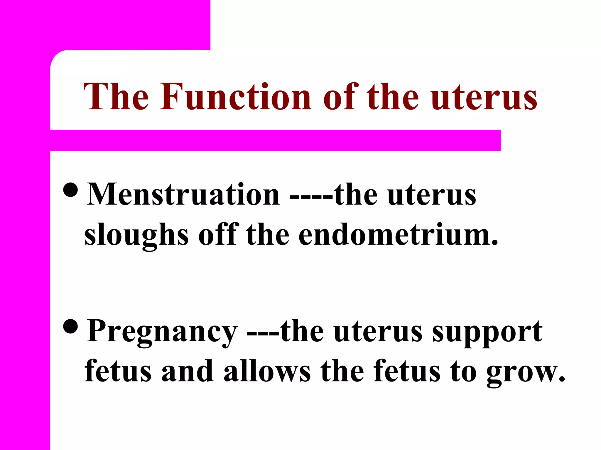 Anatomy physiology of female reproductive system | PPT