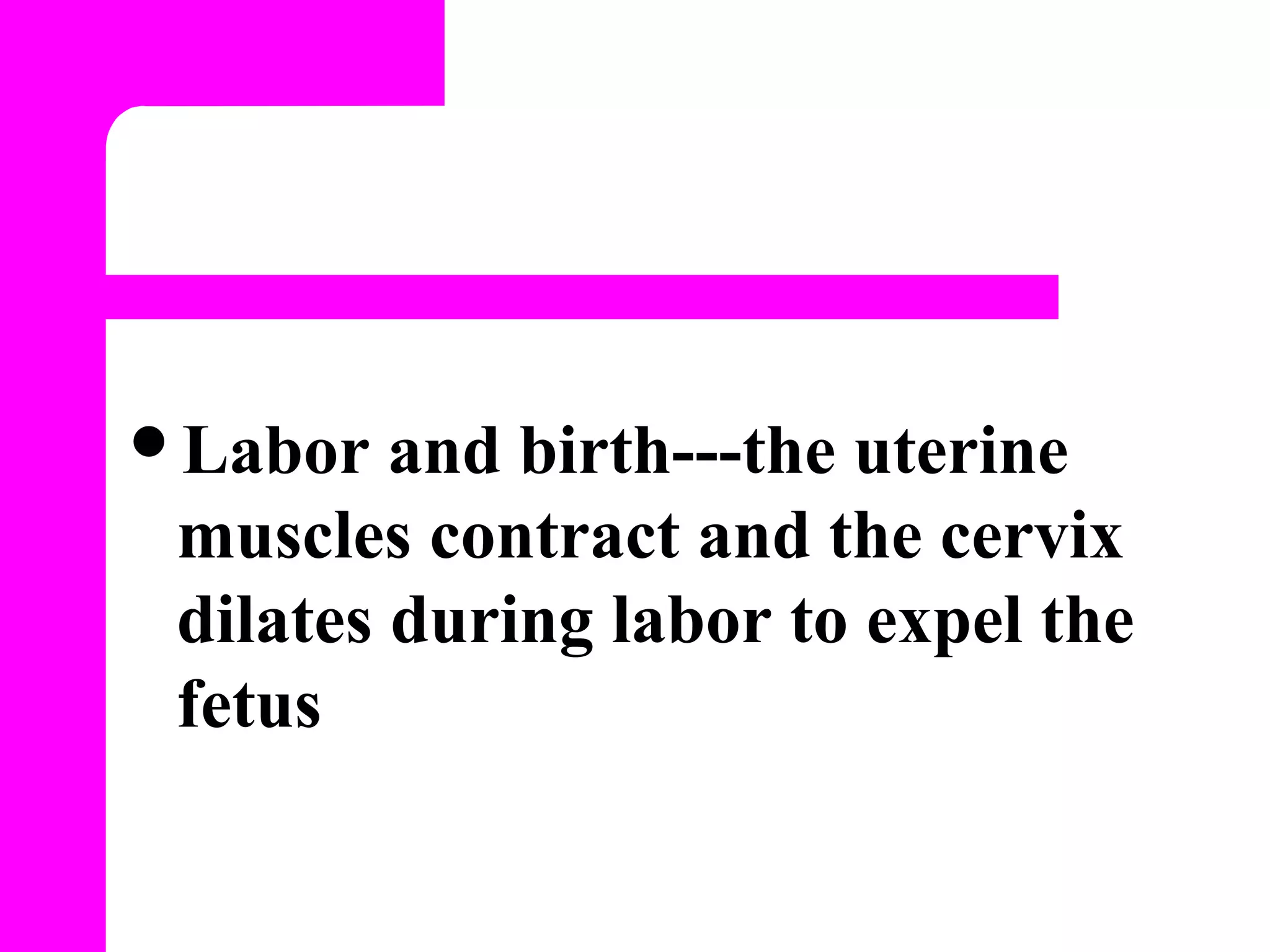 Anatomy physiology of female reproductive system | PPT