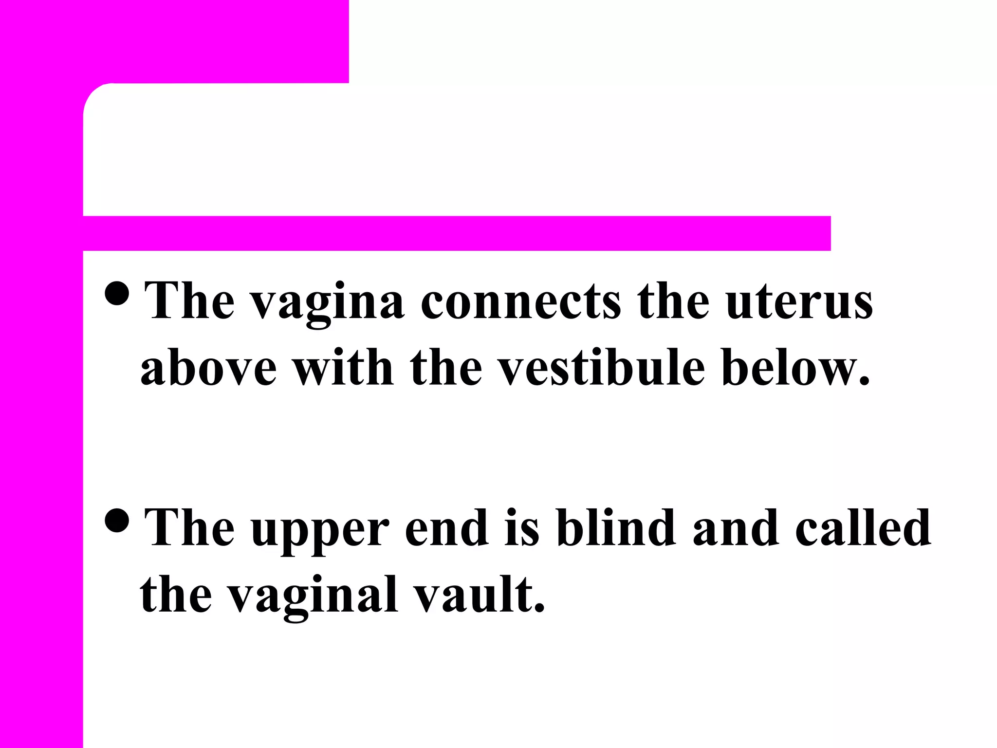 Anatomy physiology of female reproductive system | PPT