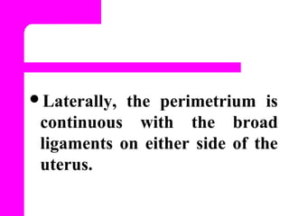 Anatomy physiology of female reproductive system | PPT