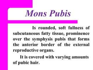 Anatomy physiology of female reproductive system | PPT