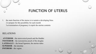 Anatomy & physiology of female reproductive system | PPTX