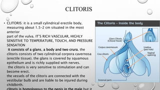 Anatomy & physiology of female reproductive system | PPTX