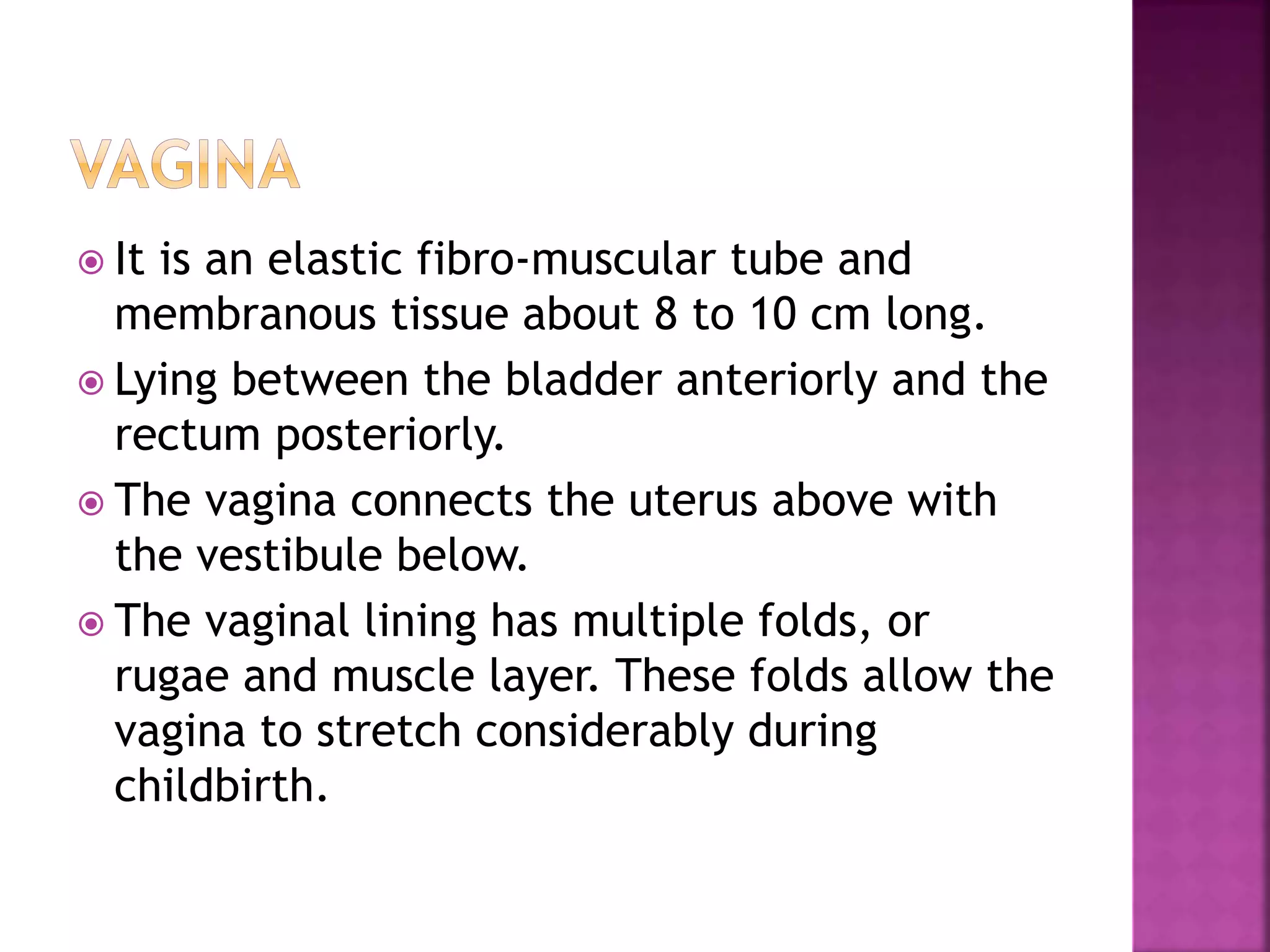 Anatomy & physiology of female reproductive system | PPTX