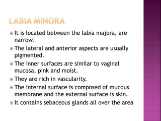 Anatomy & physiology of female reproductive system | PPTX