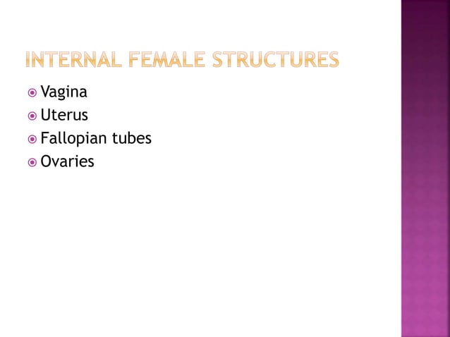 Anatomy & physiology of female reproductive system | PPT
