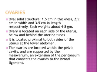 Anatomy & physiology of female reproductive system | PPTX