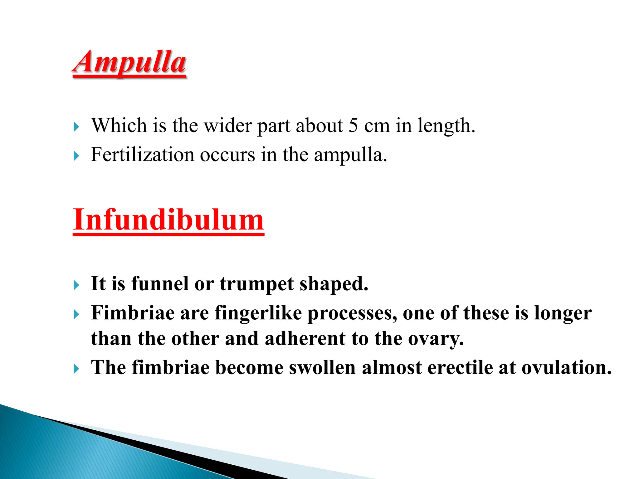 Anatomy & Physiology of Female Reproductive System..pdf