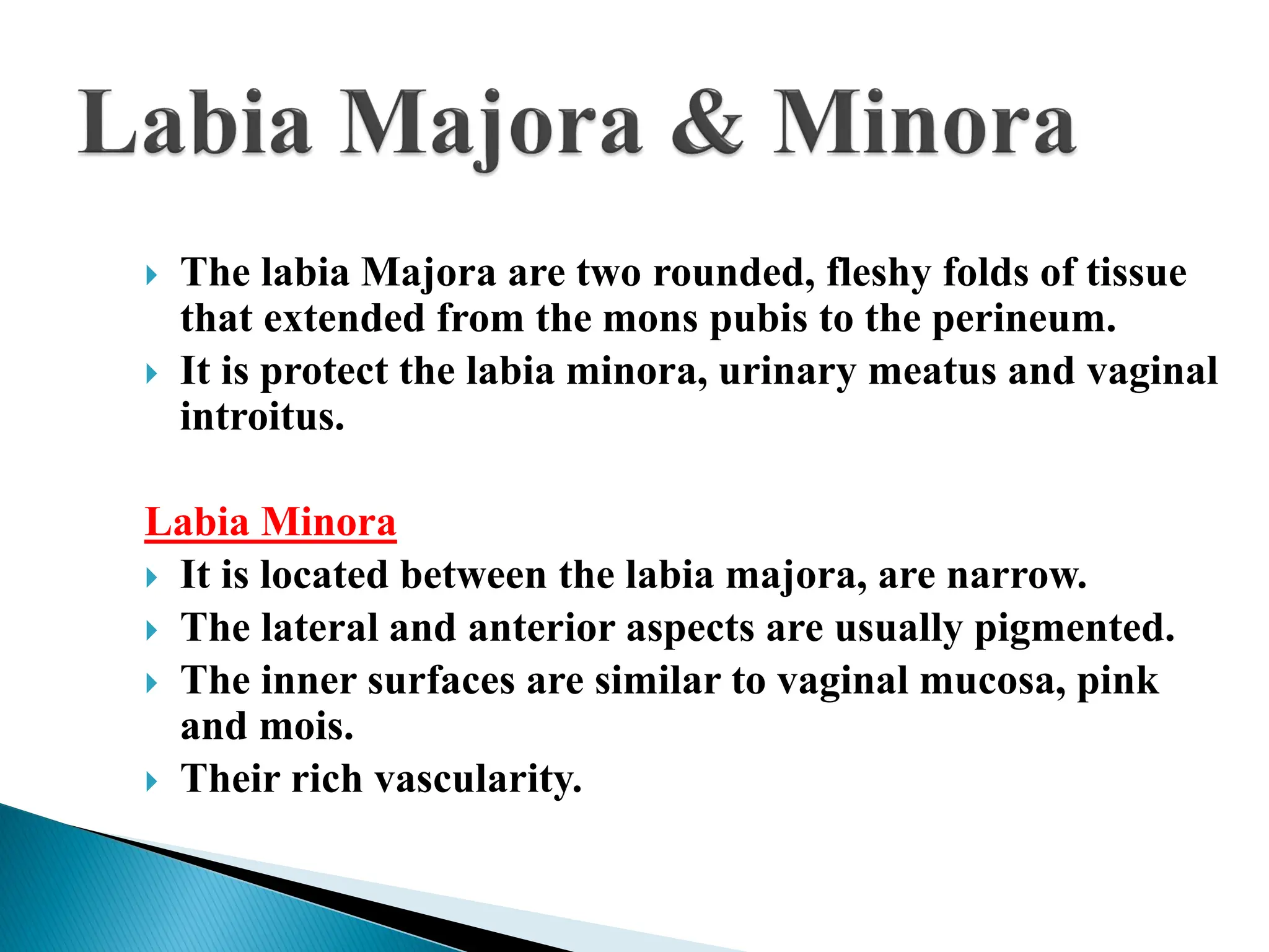 Anatomy & Physiology of Female Reproductive System..pdf