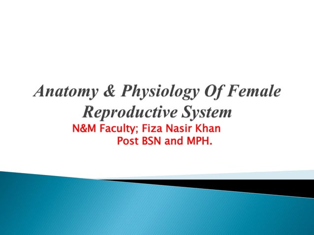Anatomy & Physiology of Female Reproductive System..pdf