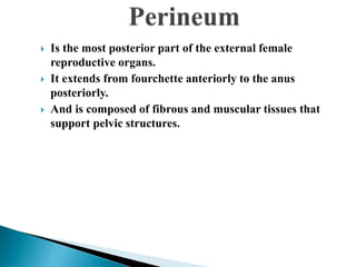 Anatomy & Physiology of Female Reproductive System..pdf