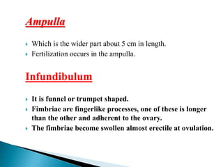 Anatomy & Physiology of Female Reproductive System..pdf