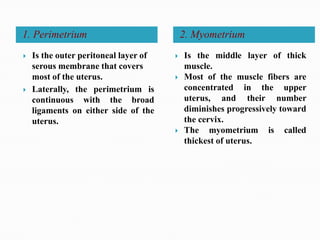 Anatomy & Physiology of Female Reproductive System..pdf