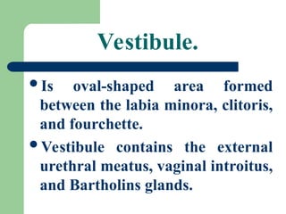 Anatomy Physiology Of Female Reproductive System1.ppt