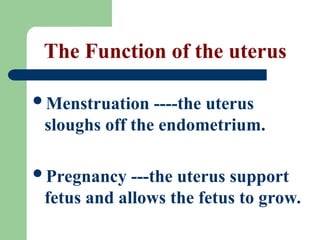Anatomy Physiology Of Female Reproductive System1.ppt