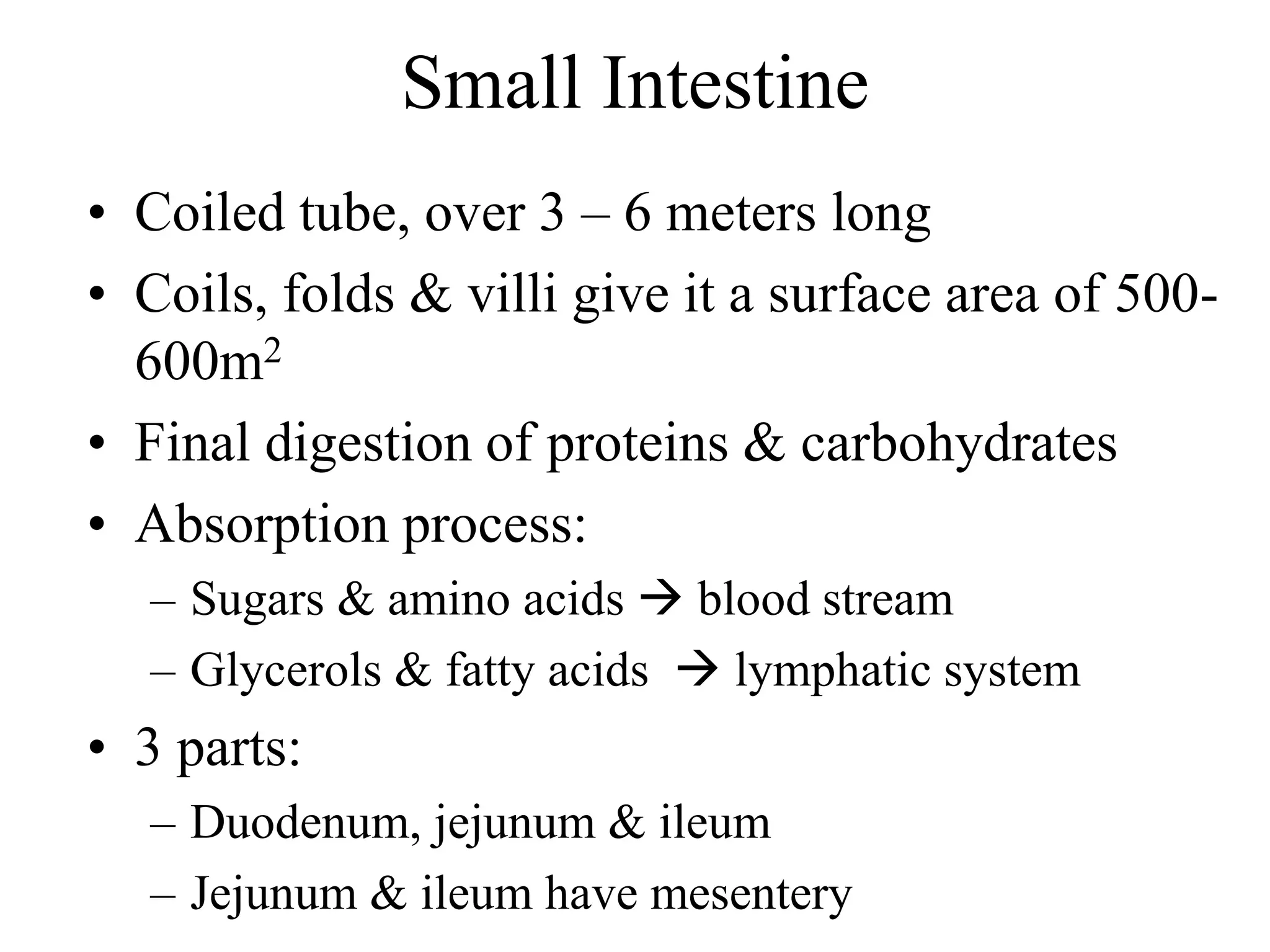 Anatomy & physiology of GIT | PPTX