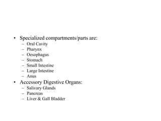 Anatomy & physiology of GIT | PPTX