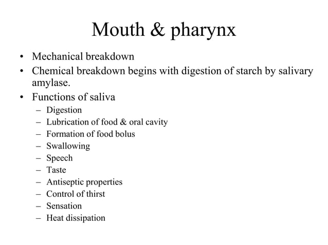 Anatomy & physiology of GIT | PPTX
