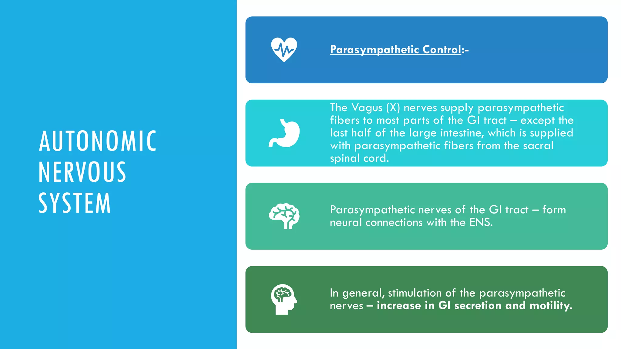 Anatomy & Physiology of GIT | PDF