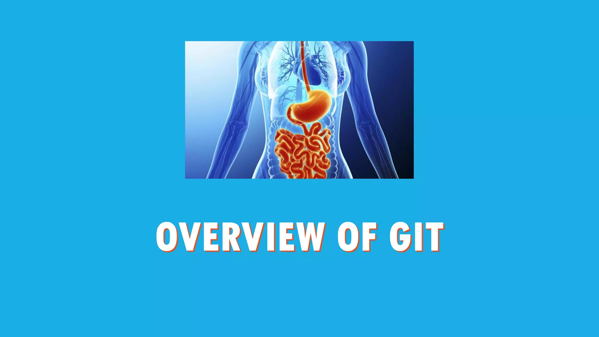 Anatomy & Physiology of GIT | PDF