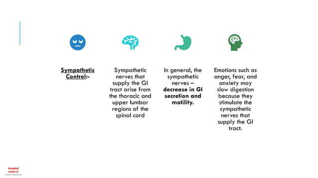 Anatomy & Physiology of GIT | PDF | Digestive Disorders | Diseases and ...