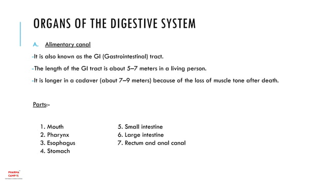 Anatomy & Physiology of GIT | PDF | Digestive Disorders | Diseases and ...