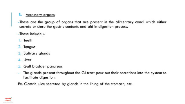 Anatomy & Physiology of GIT | PDF | Digestive Disorders | Diseases and ...