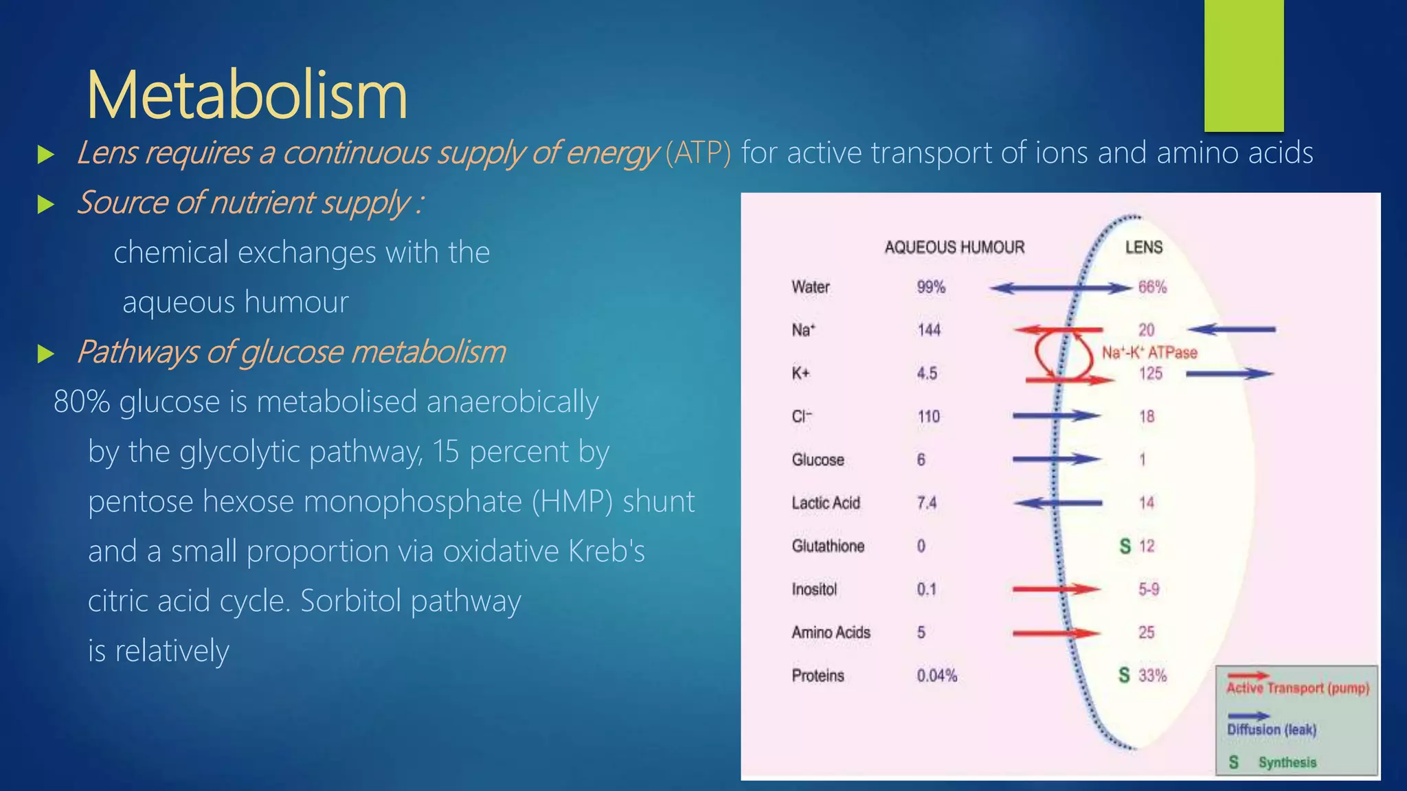 Anatomy & physiology of human eye lens | PPTX