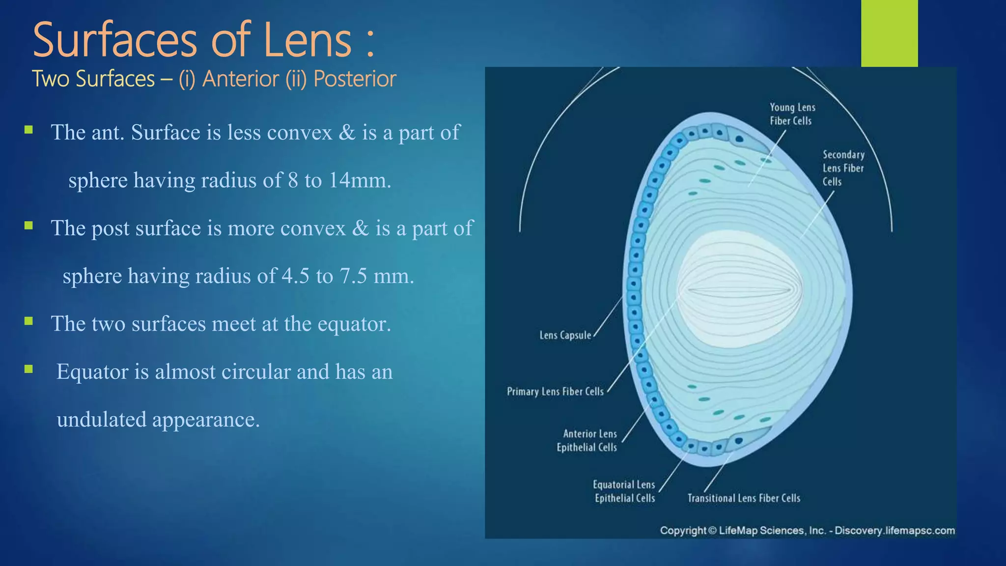Anatomy & physiology of human eye lens | PPTX
