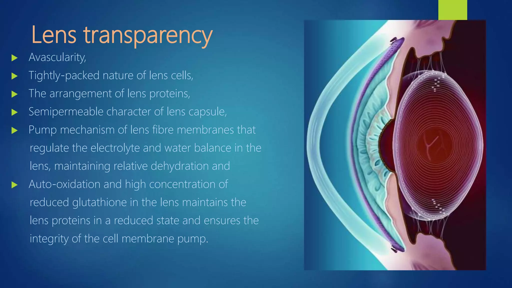 Anatomy & physiology of human eye lens | PPTX