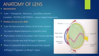 Anatomy & physiology of human eye lens | PPTX