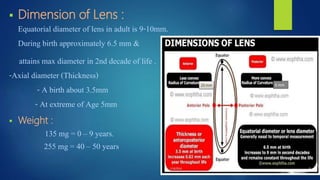 Anatomy & physiology of human eye lens | PPTX
