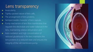 Anatomy & physiology of human eye lens | PPTX