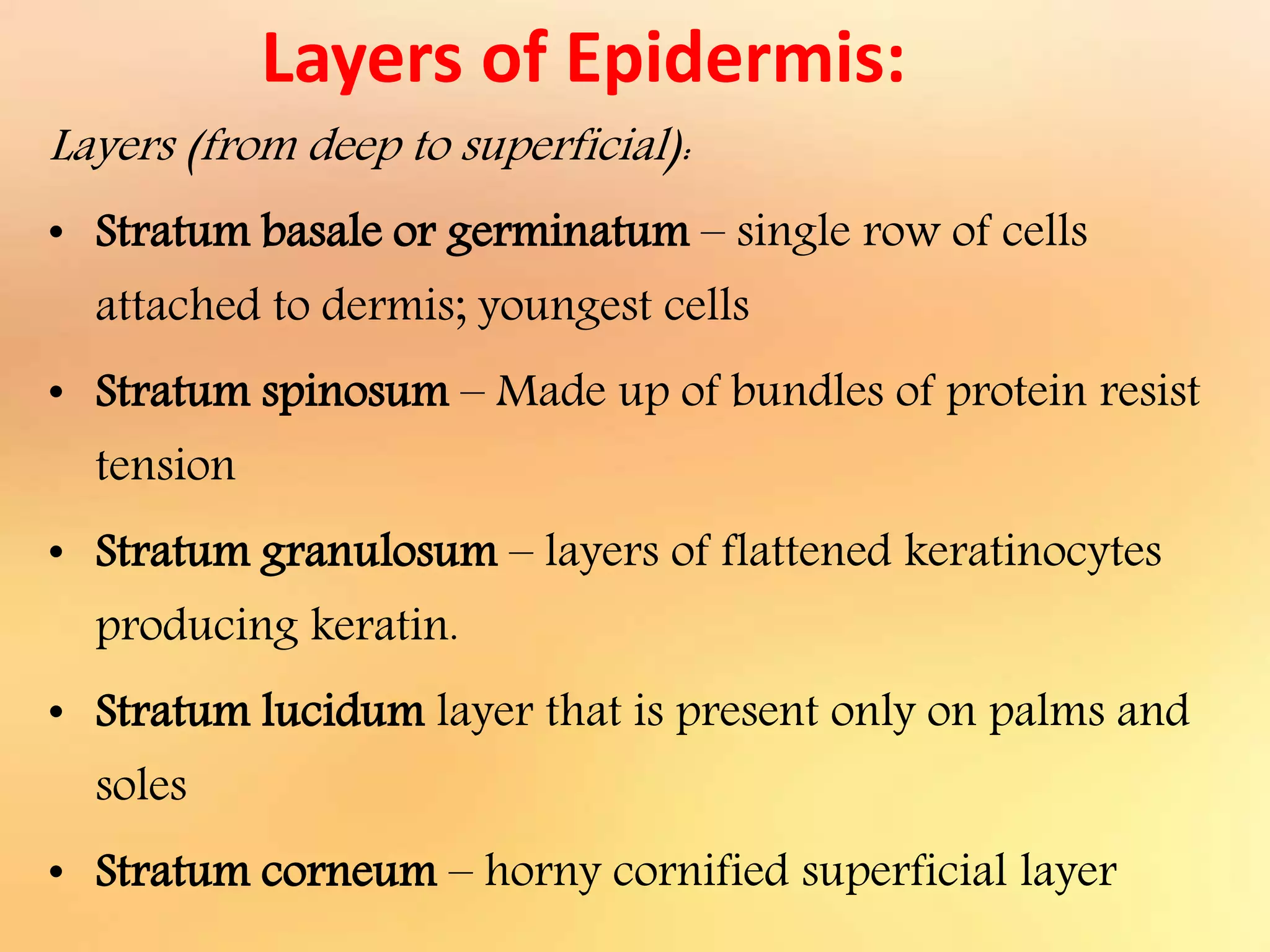 Anatomy & physiology of integumentary system | PPTX