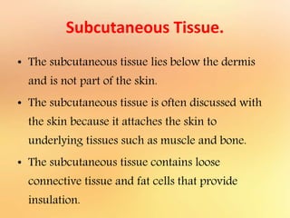 Anatomy & physiology of integumentary system | PPTX