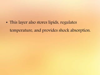 Anatomy & physiology of integumentary system | PPTX