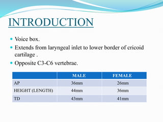 anatomyphysiologyoflarynx-190425111828.pdf