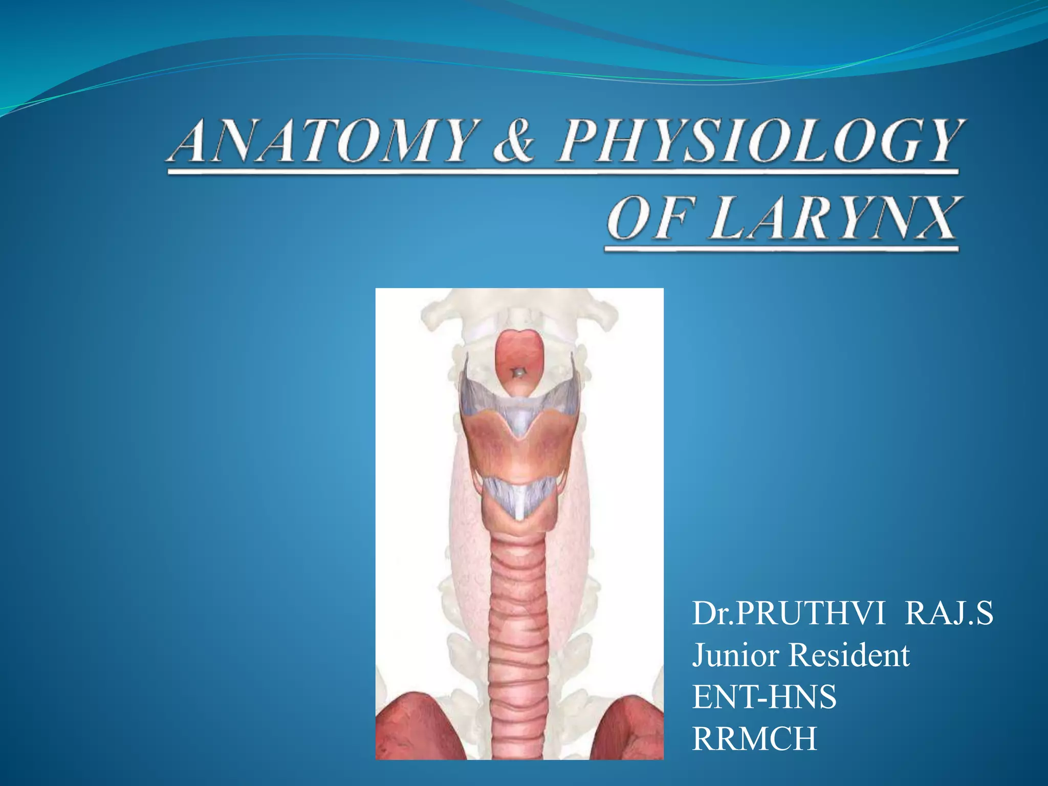 Anatomy & physiology of larynx | PPTX