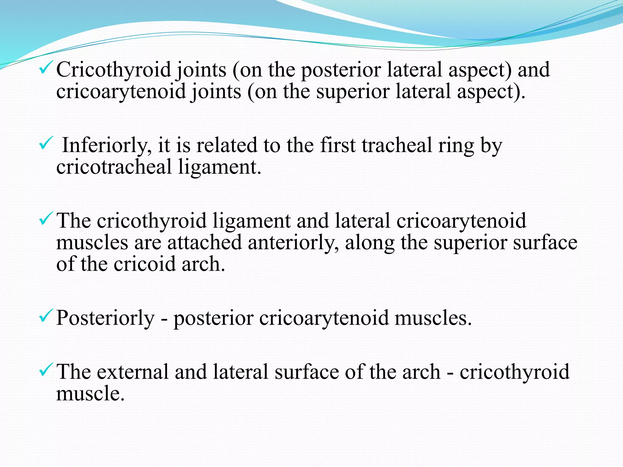 Anatomy & physiology of larynx | PPTX