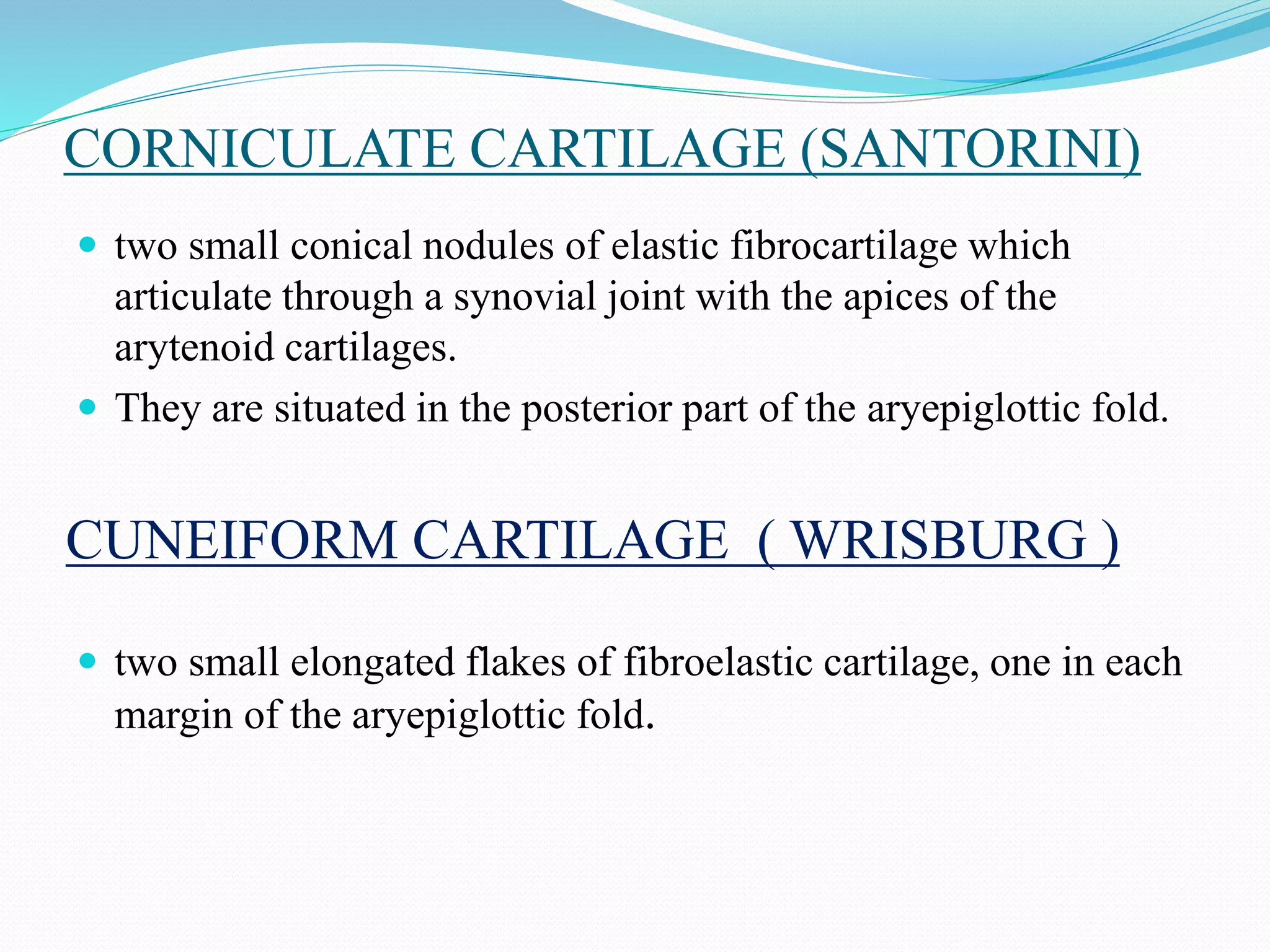Anatomy & physiology of larynx | PPTX