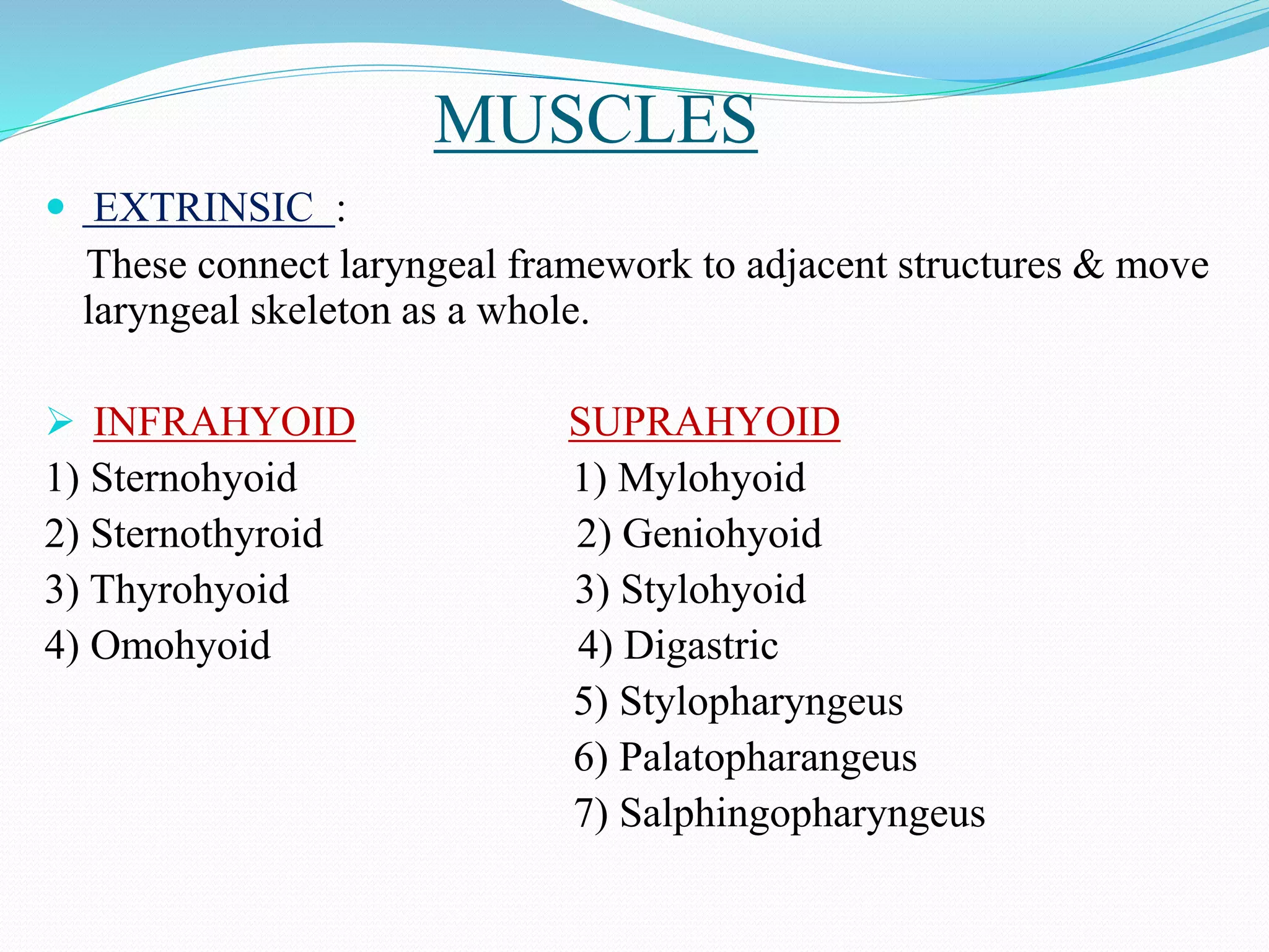 Anatomy & physiology of larynx | PPTX