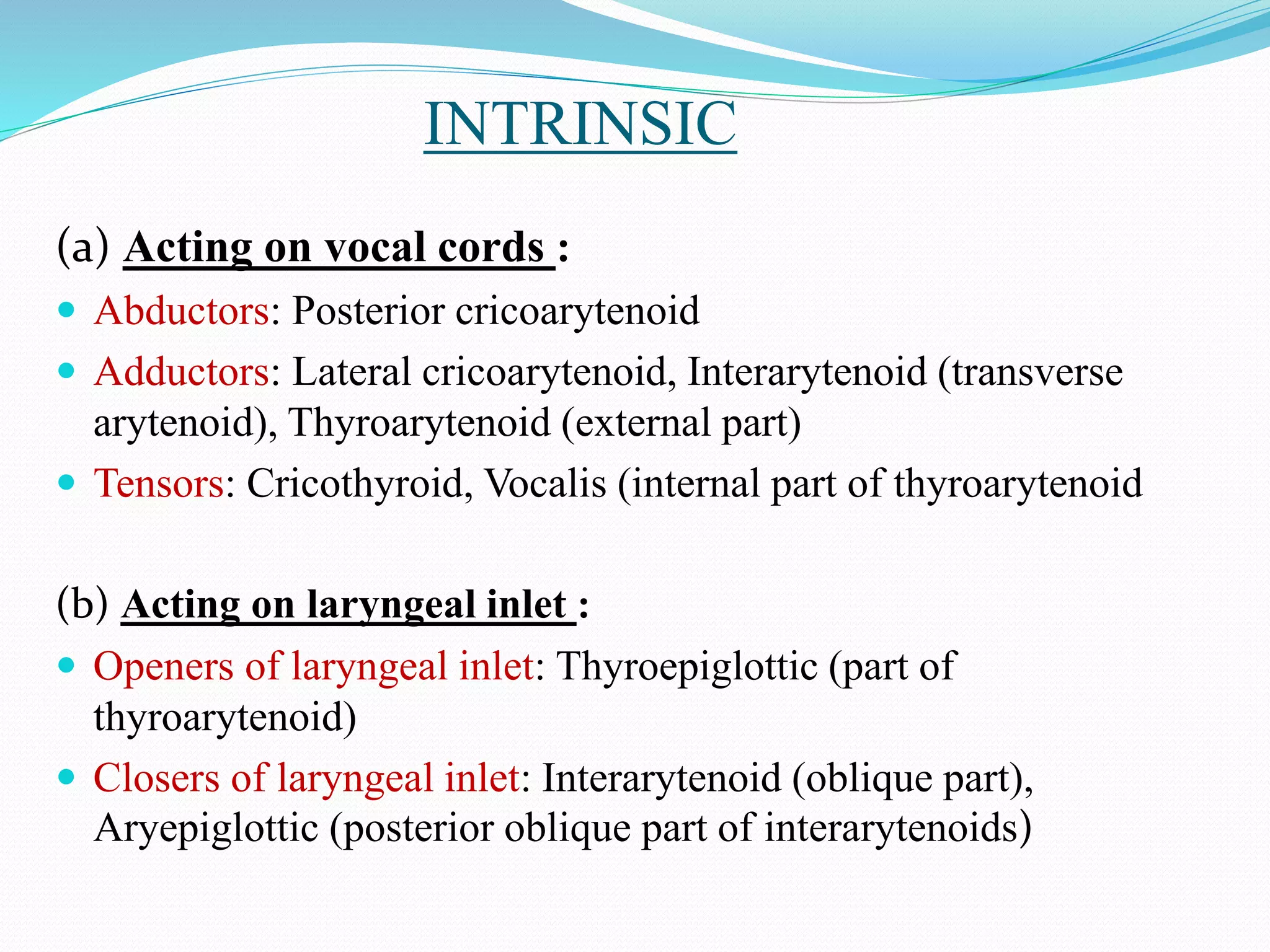 Anatomy & physiology of larynx | PPTX