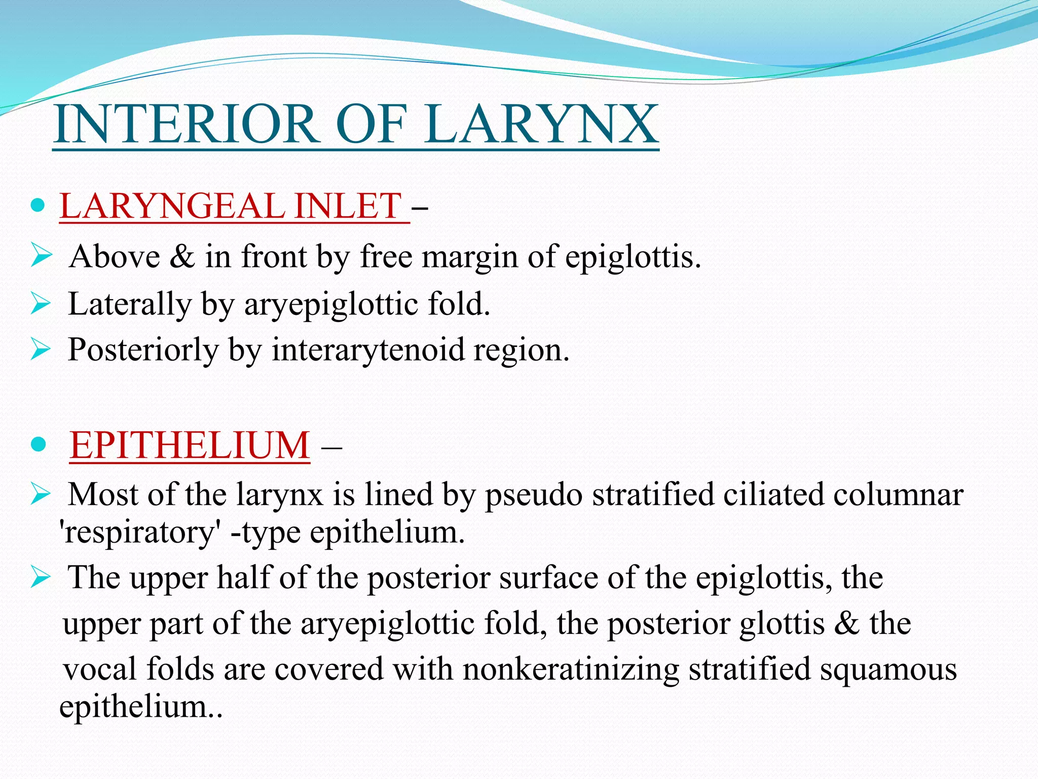 Anatomy & physiology of larynx | PPTX