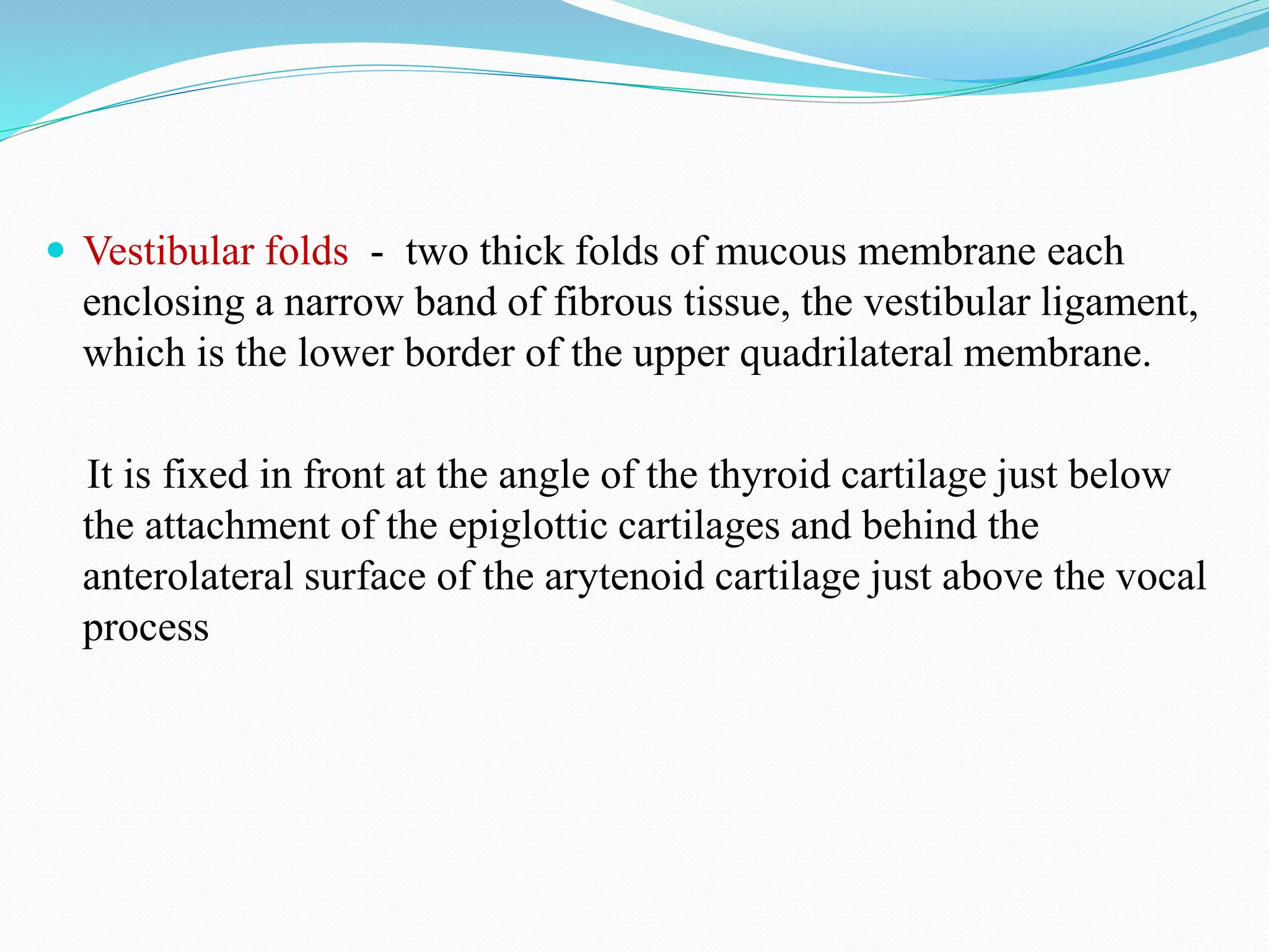 Anatomy & physiology of larynx | PPTX