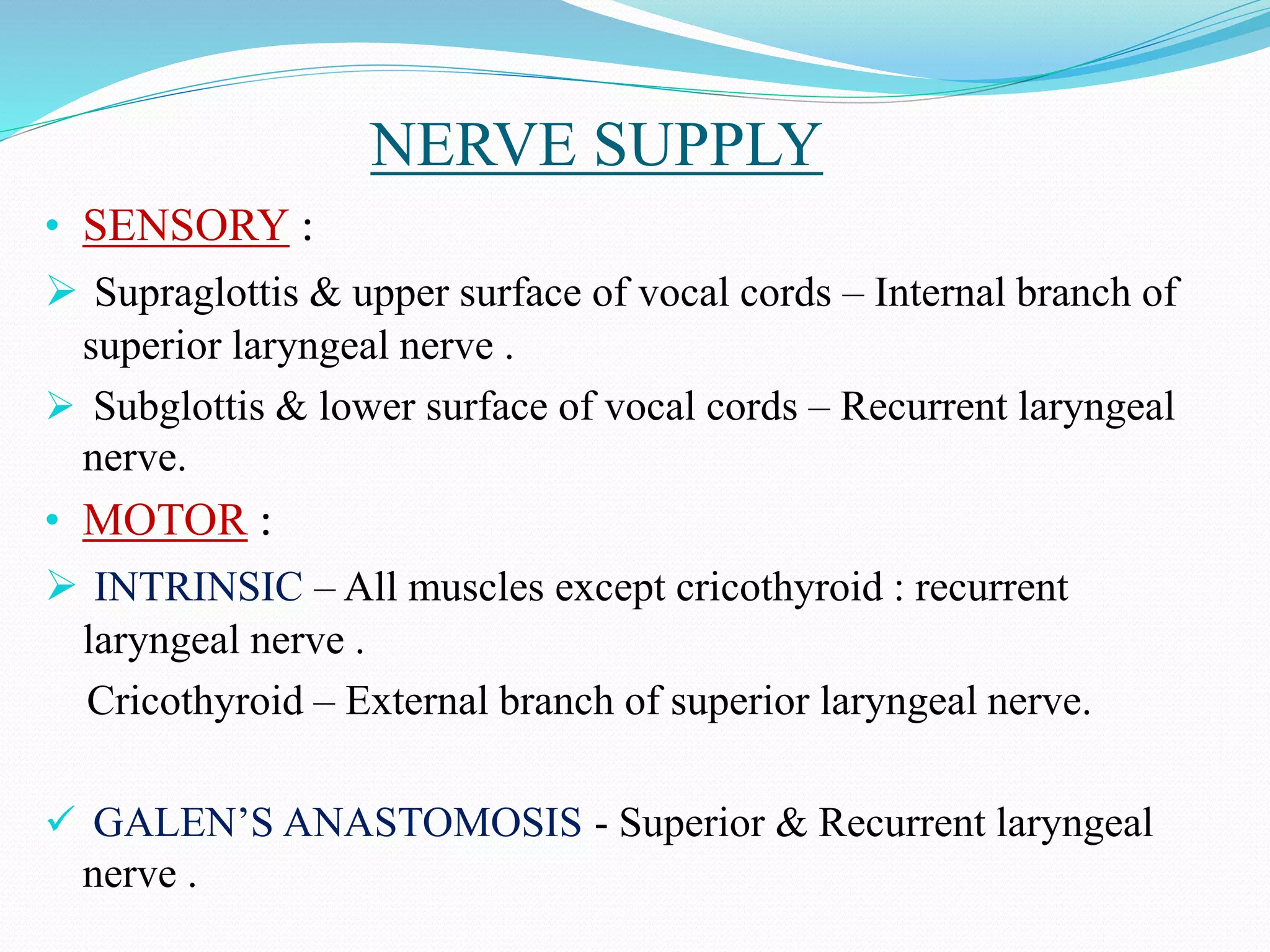 Anatomy & physiology of larynx | PPTX