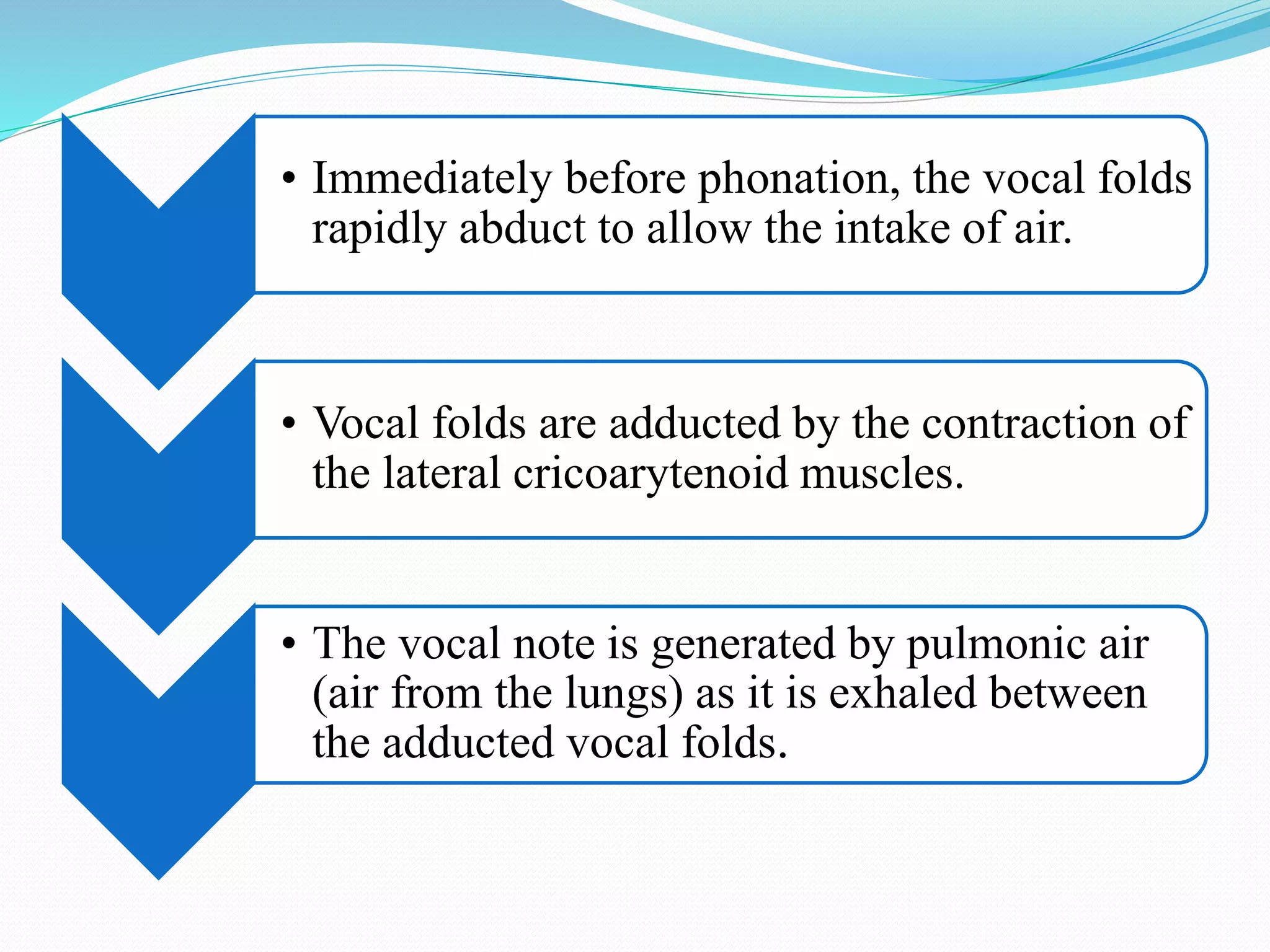 Anatomy & physiology of larynx | PPTX
