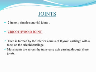 Anatomy & physiology of larynx | PPTX