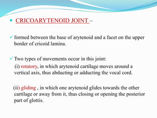 Anatomy & physiology of larynx | PPTX